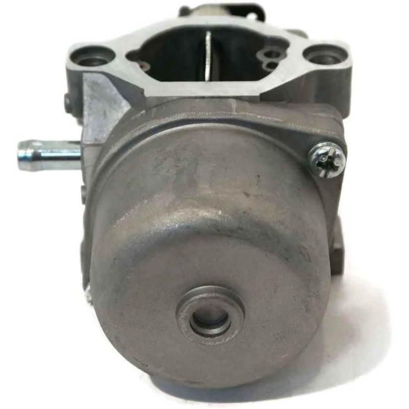 Carburateur pour Briggs Stratton 286702 286707 289702 289707 28D702